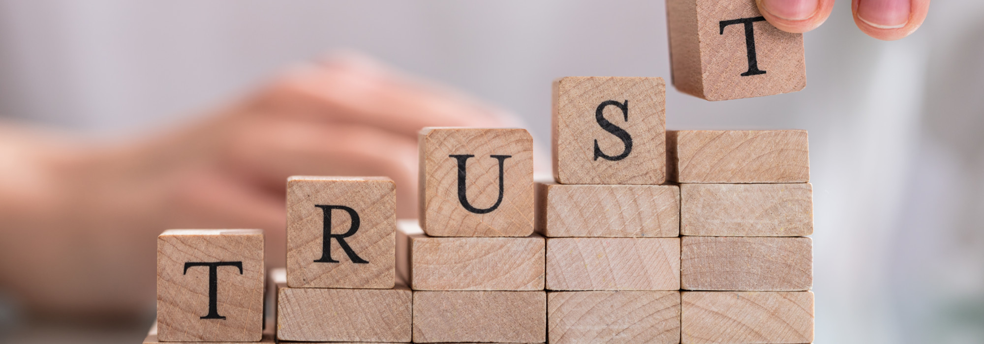 株式会社TRUSTIER – ITを通じてお客様との信頼を構築いたします